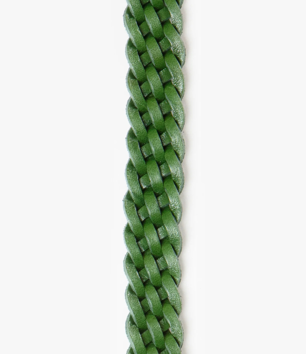 Wing Tip 5-Ply Belt 2 Loops - Regular - Green | Nepenthes America